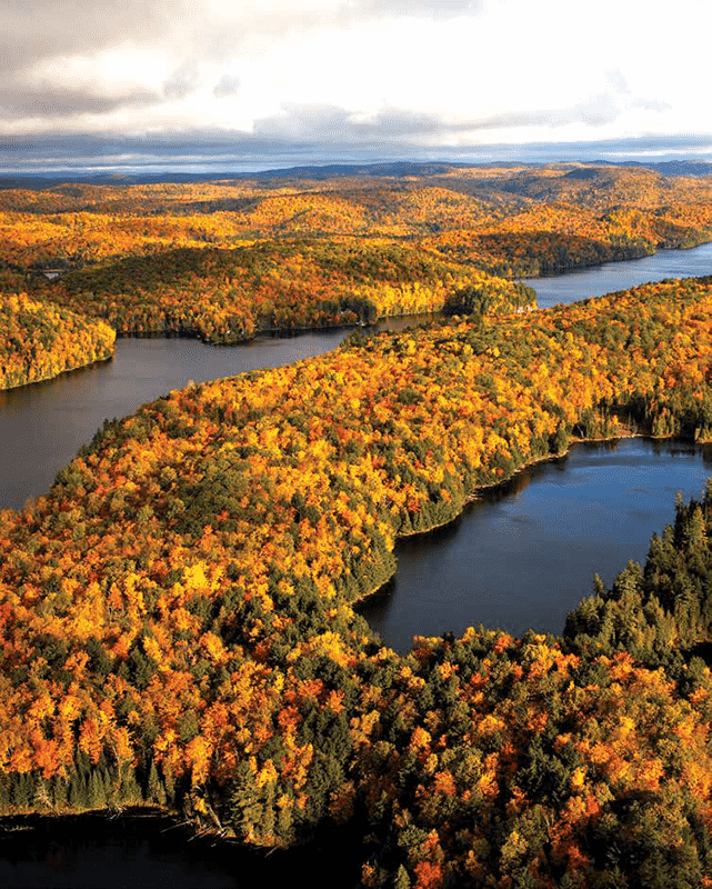 Bliss By Nature - Luxe Magazine Ottawa