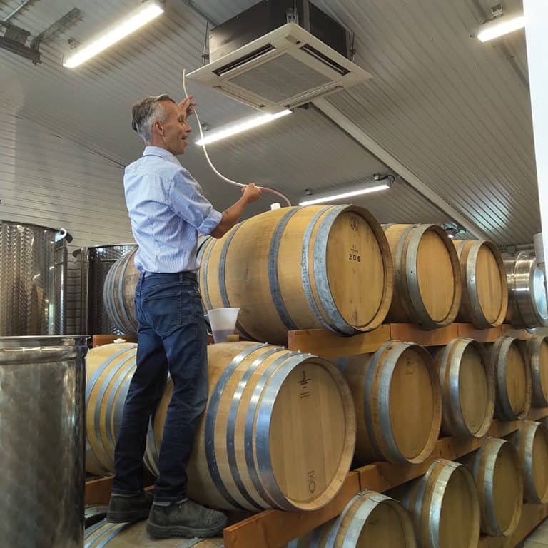 In Our Own Backyard: Kin Vineyards - Luxe Magazine Ottawa